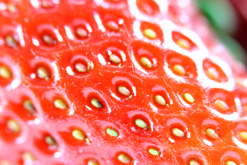 Strawberry Closeup - PHOTOBER - Free Photos Free Images for all